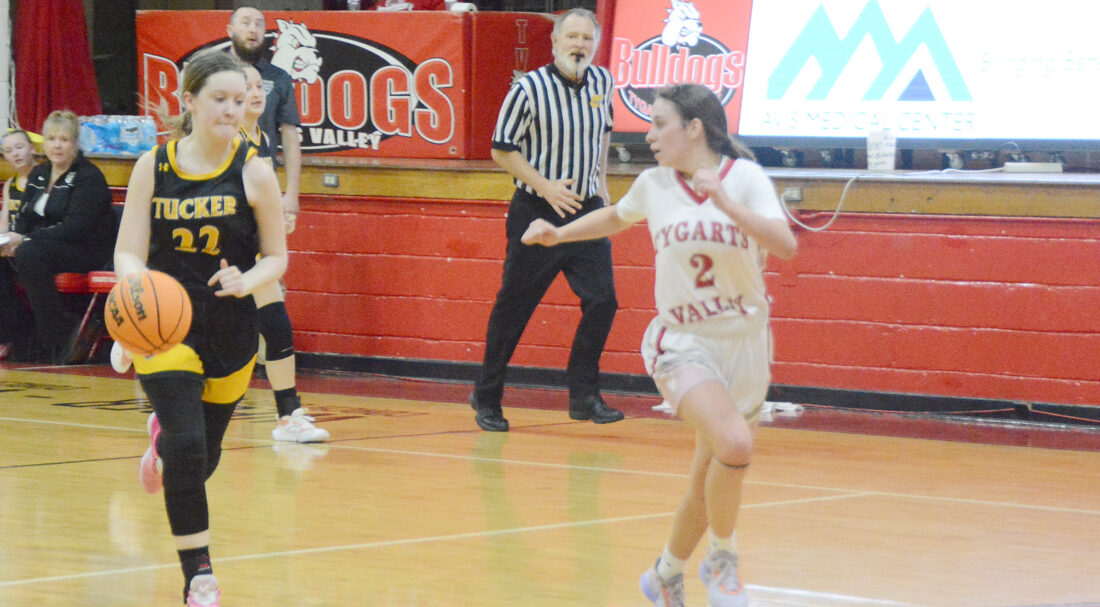 Macy Helmick directs Mountain Lion offense | News, Sports, Jobs - The ...